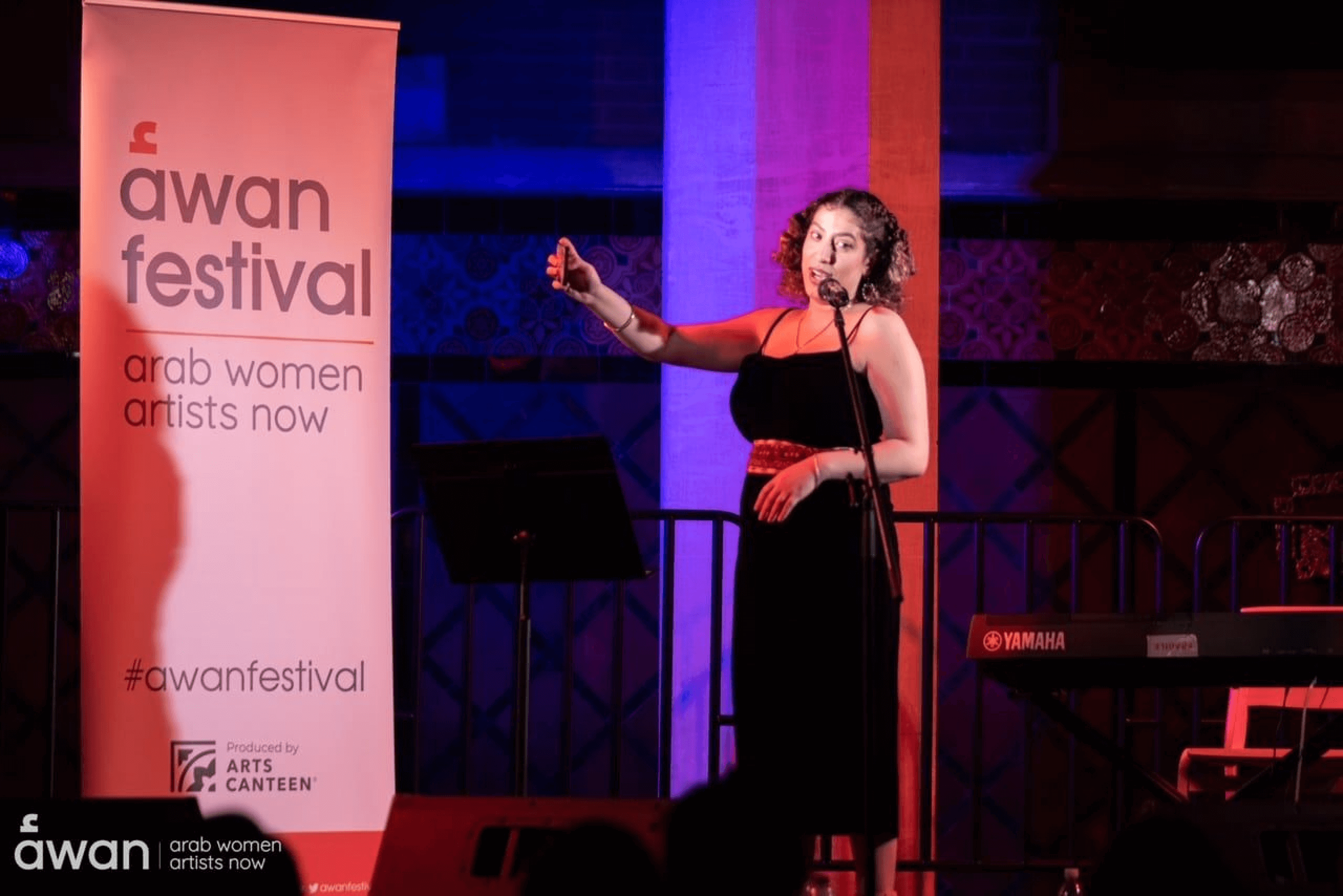 Arab Women Artists Now (AWAN) 2024